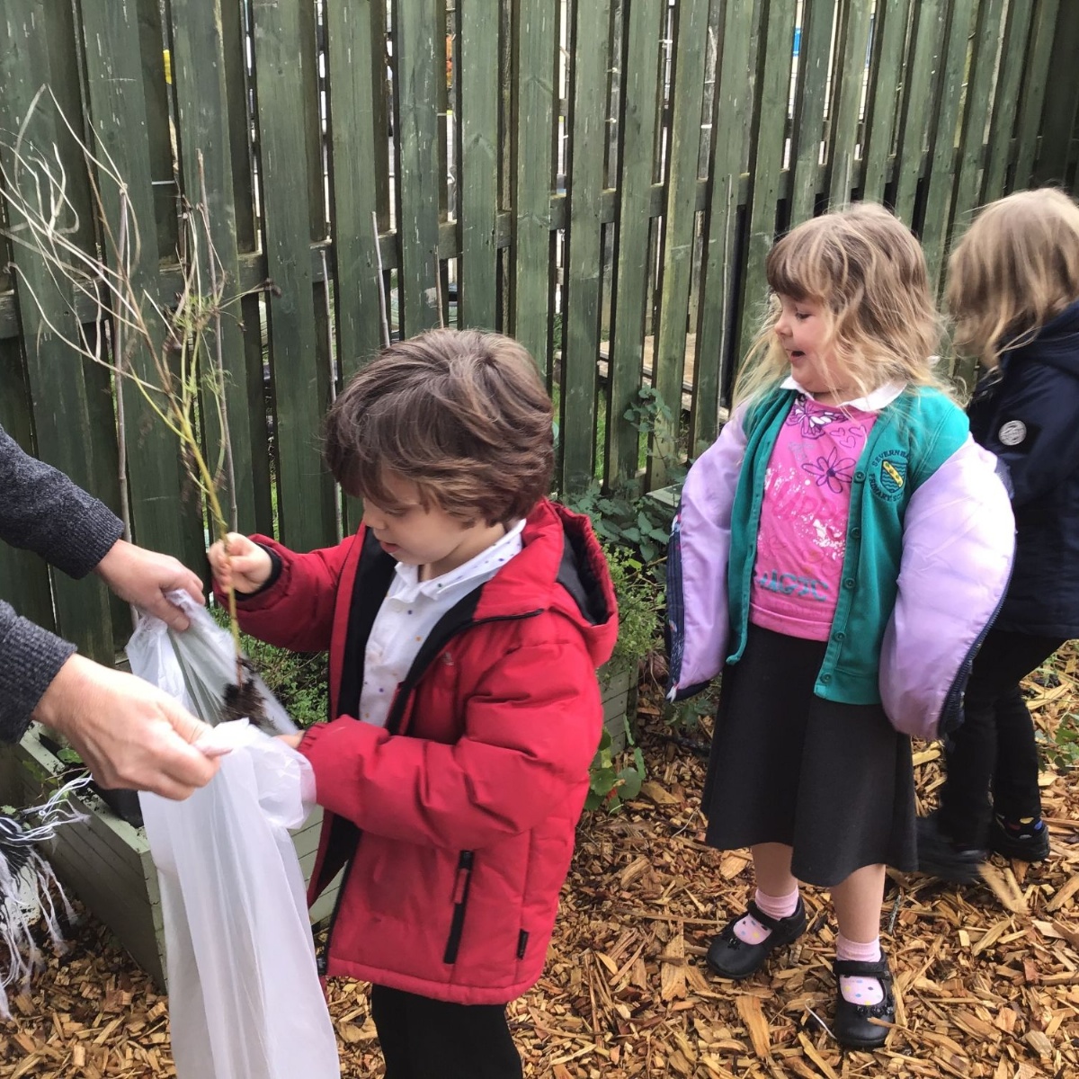 Severnbanks Primary School - Earth Hour
